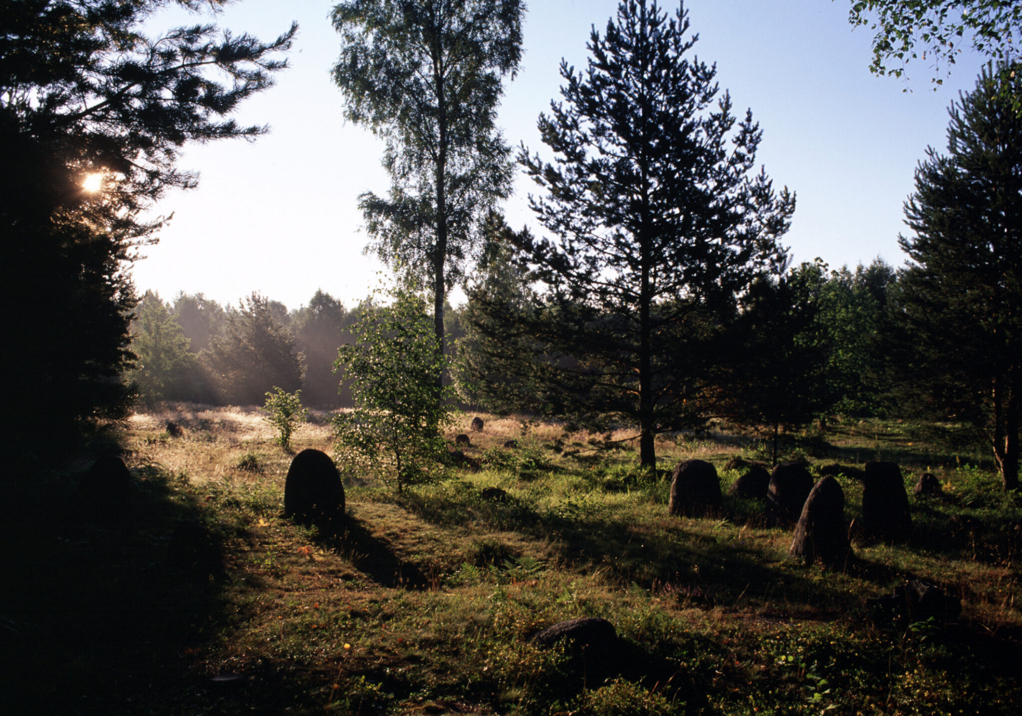 Runsa - Stockholms läns museum