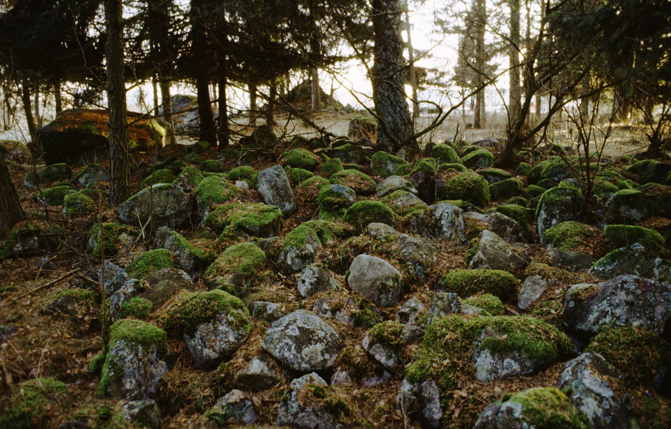 Stockholms läns museum