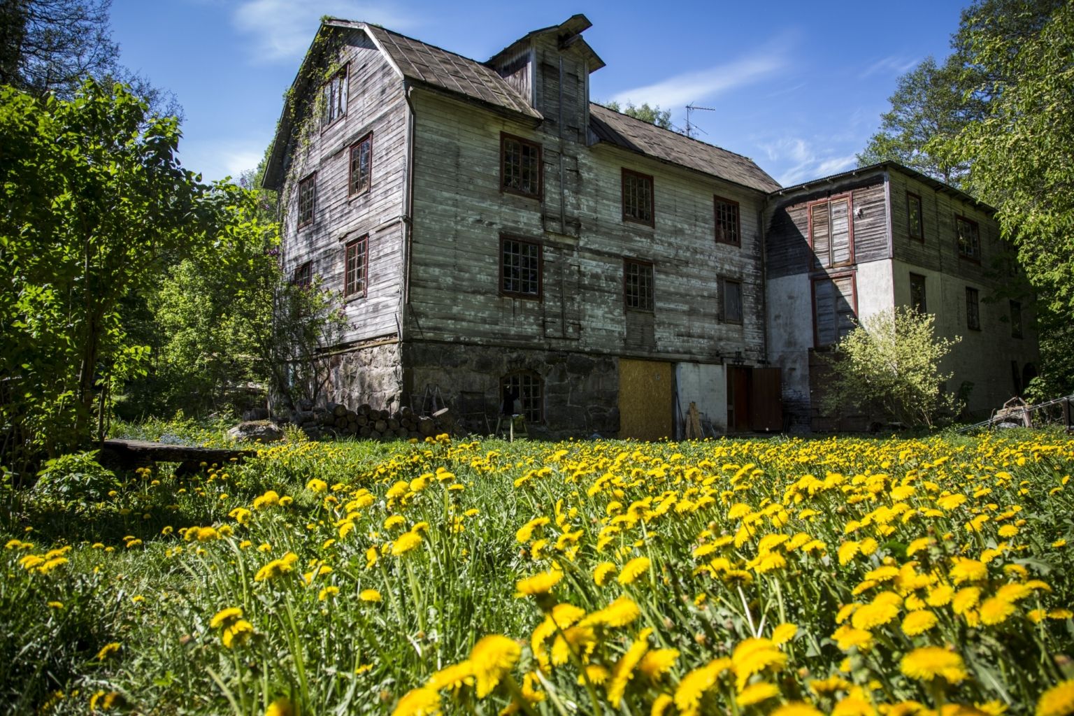 Kvarnvikens kvarn - Stockholms läns museum