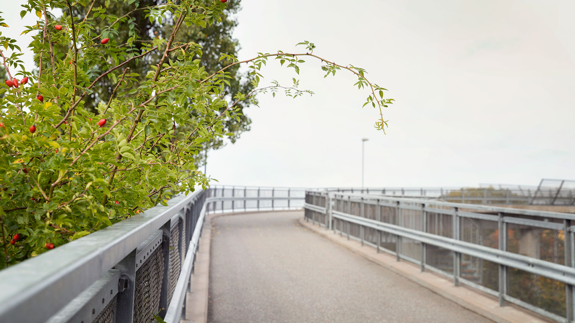 På en bro i Rotebro - Stockholms läns museum